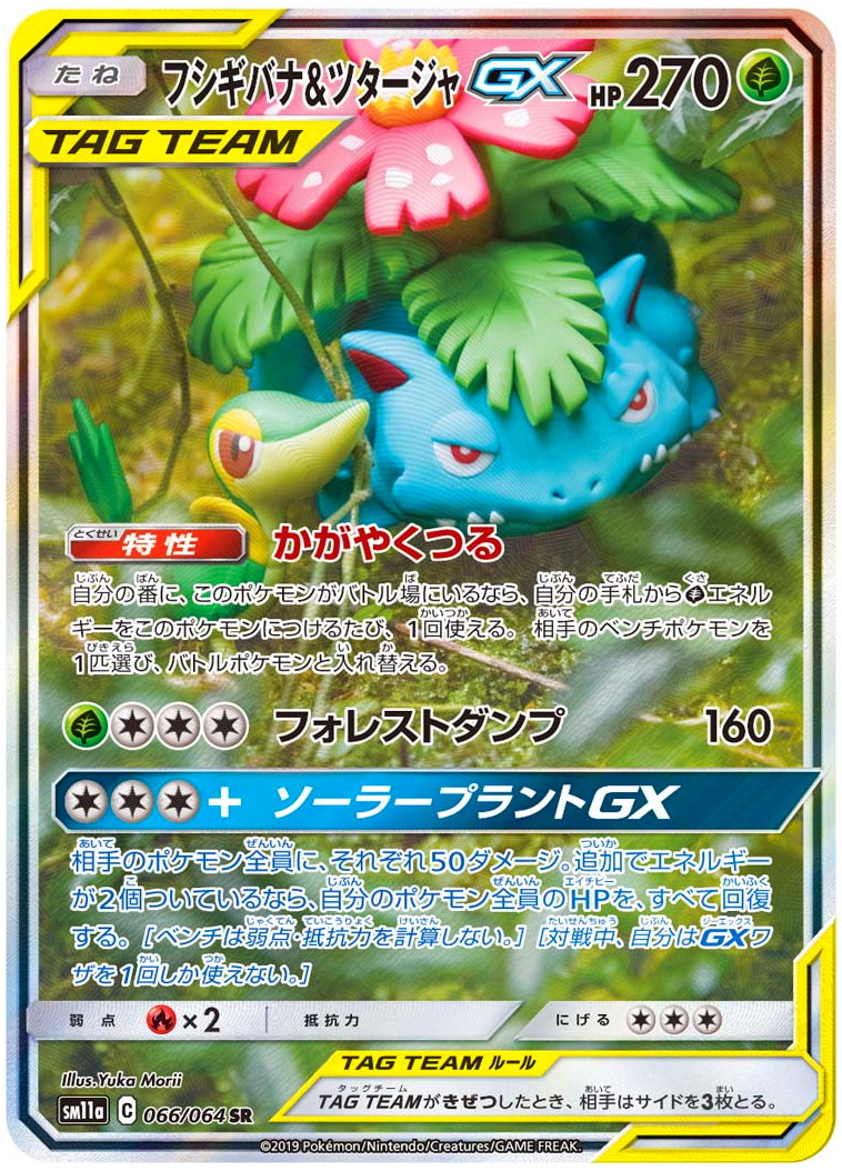 フシギバナ&ツタージャGX【SR】（SA） - カードショップWiZ